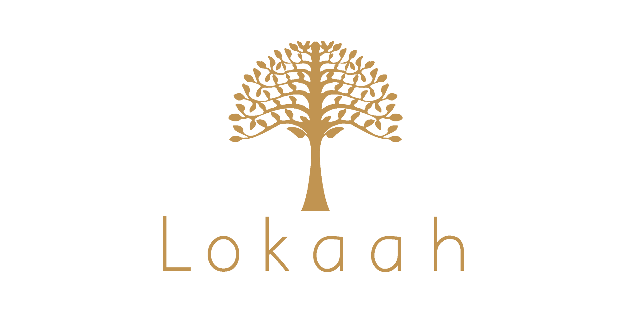 Strona powitalna IdoSell Shop